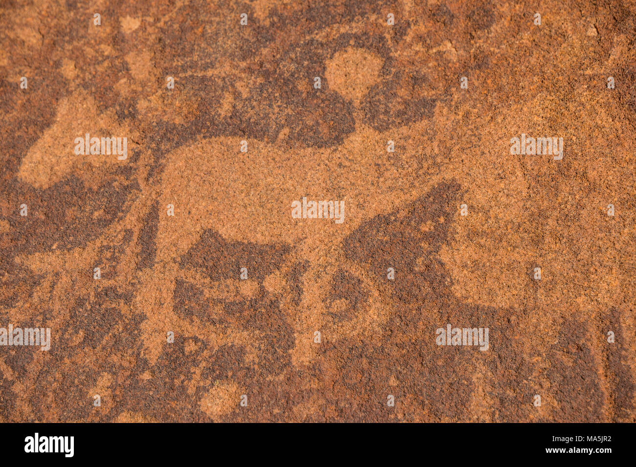 ancient rock engravings, Unesco world heritage sight, Twyfelfontein ...