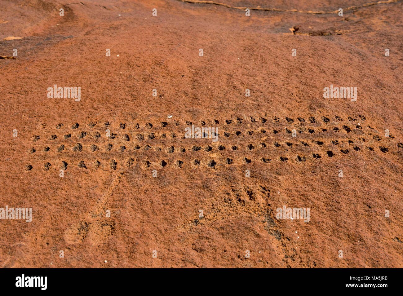 Ancient rock engravings, Unesco world heritage sight, Twyfelfontein ...