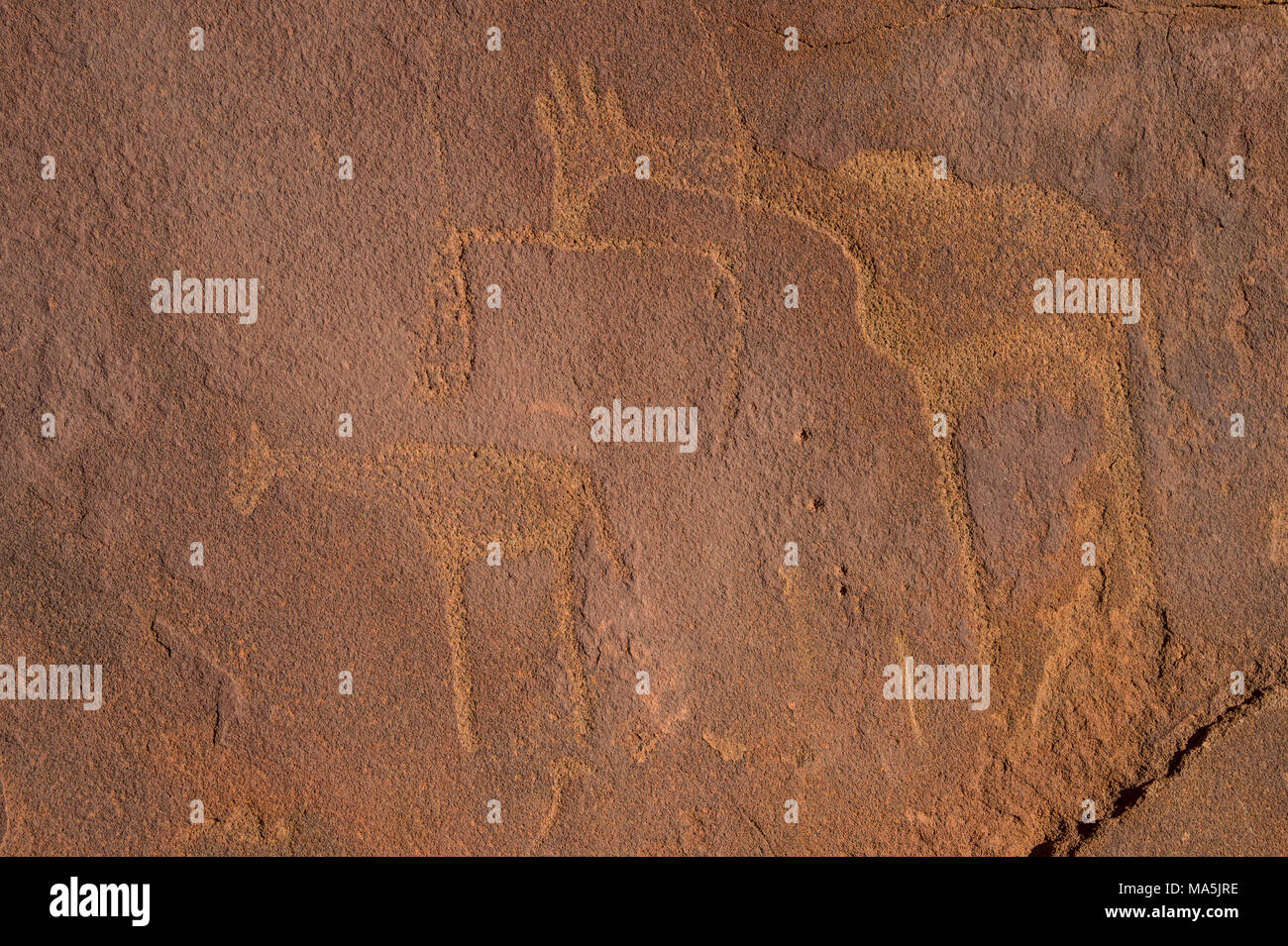 ancient rock engravings, Unesco world heritage sight, Twyfelfontein ...
