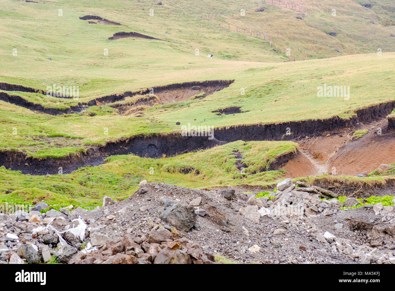 Rolling Hills of Batanes, Philippines Stock Photo - Alamy