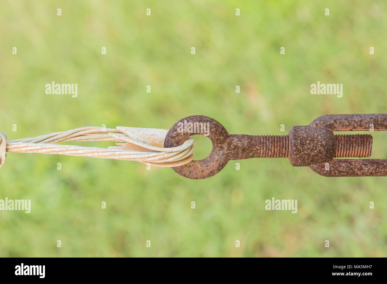 rusty shackle connect the sling in nature background Stock Photo - Alamy