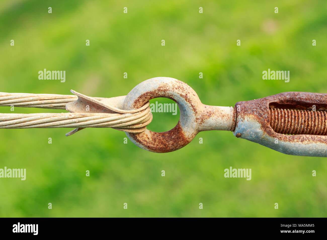 rusty shackle connect the sling in nature background Stock Photo - Alamy