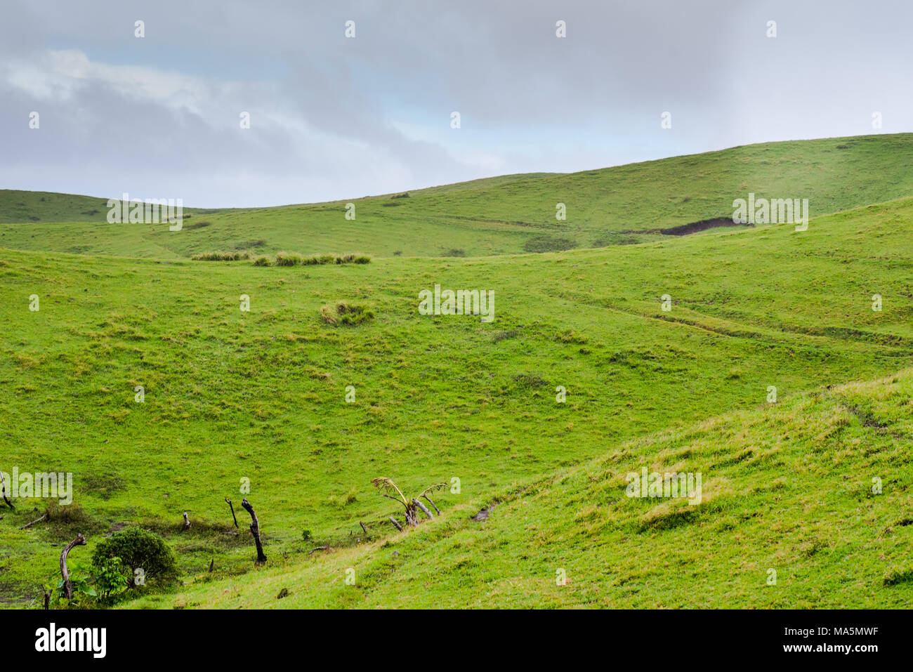 Rolling Hills of Batanes, Philippines Stock Photo - Alamy