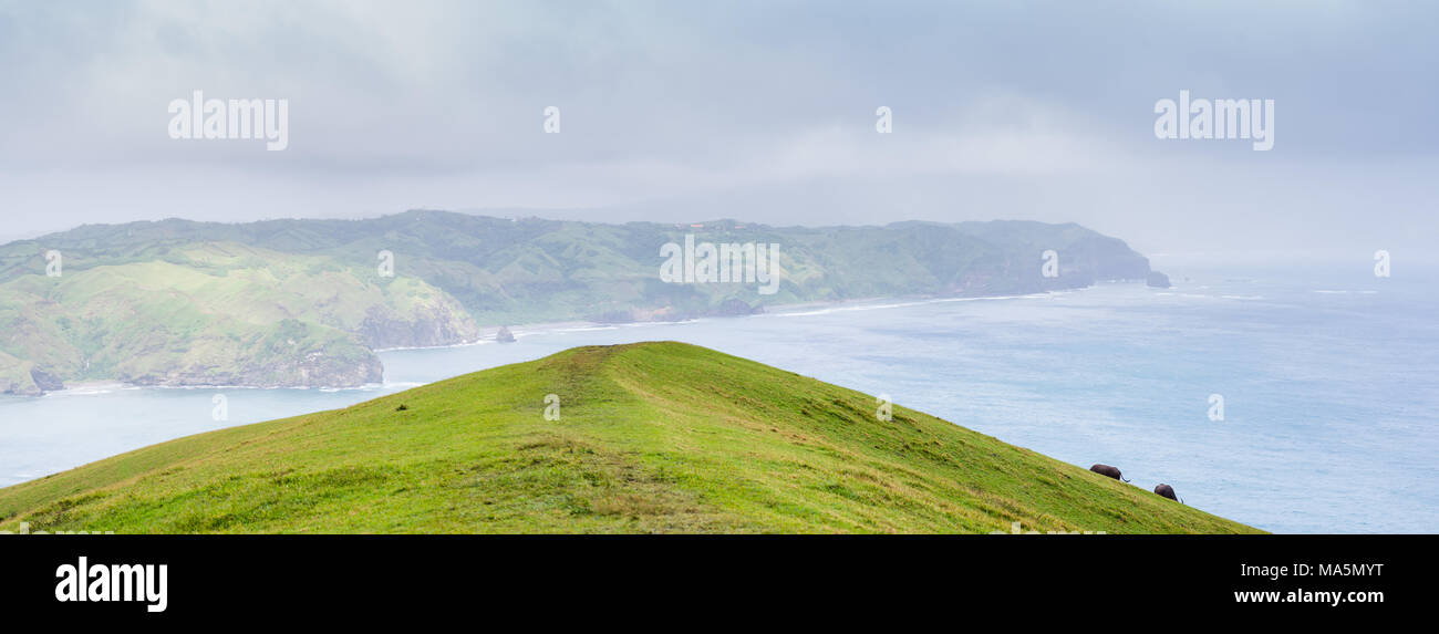 Rolling Hills of Batanes, Philippines Stock Photo - Alamy