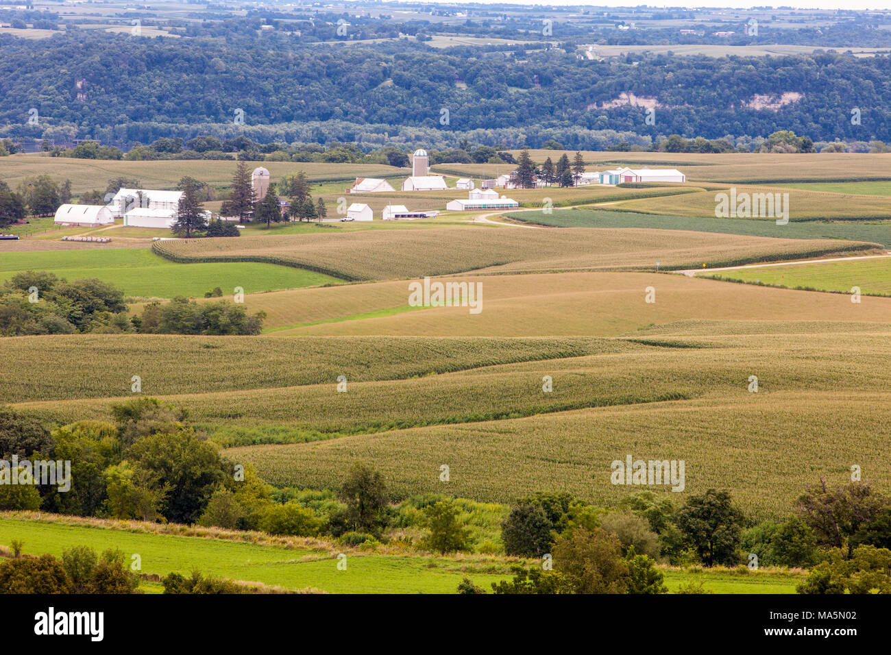 Scenic corn fields hi-res stock photography and images - Alamy