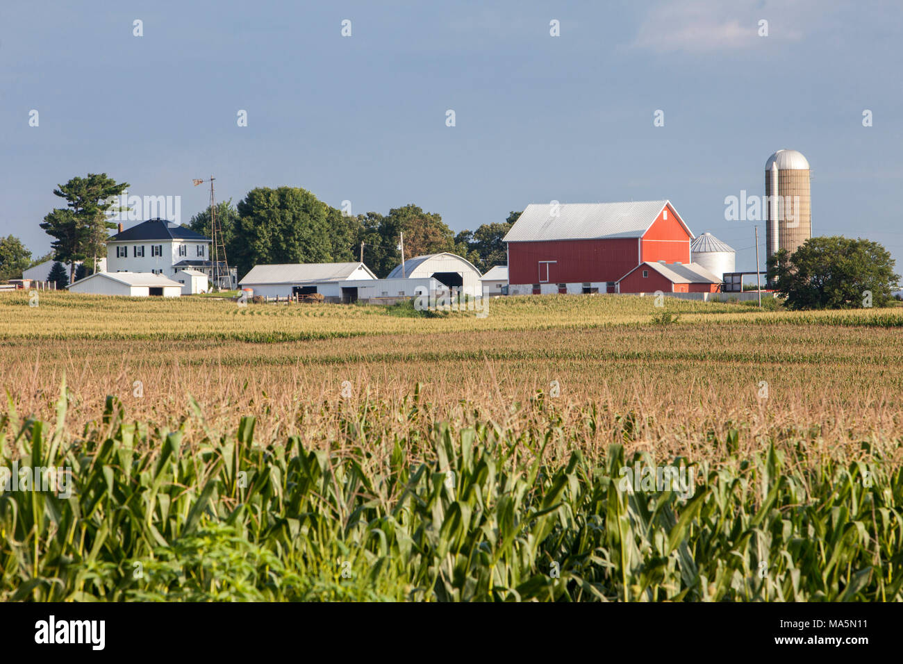 Corn Field Iowa High Resolution Stock Photography and Images - Alamy