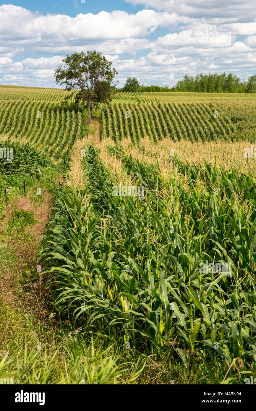 Worthington landscape hi-res stock photography and images - Alamy
