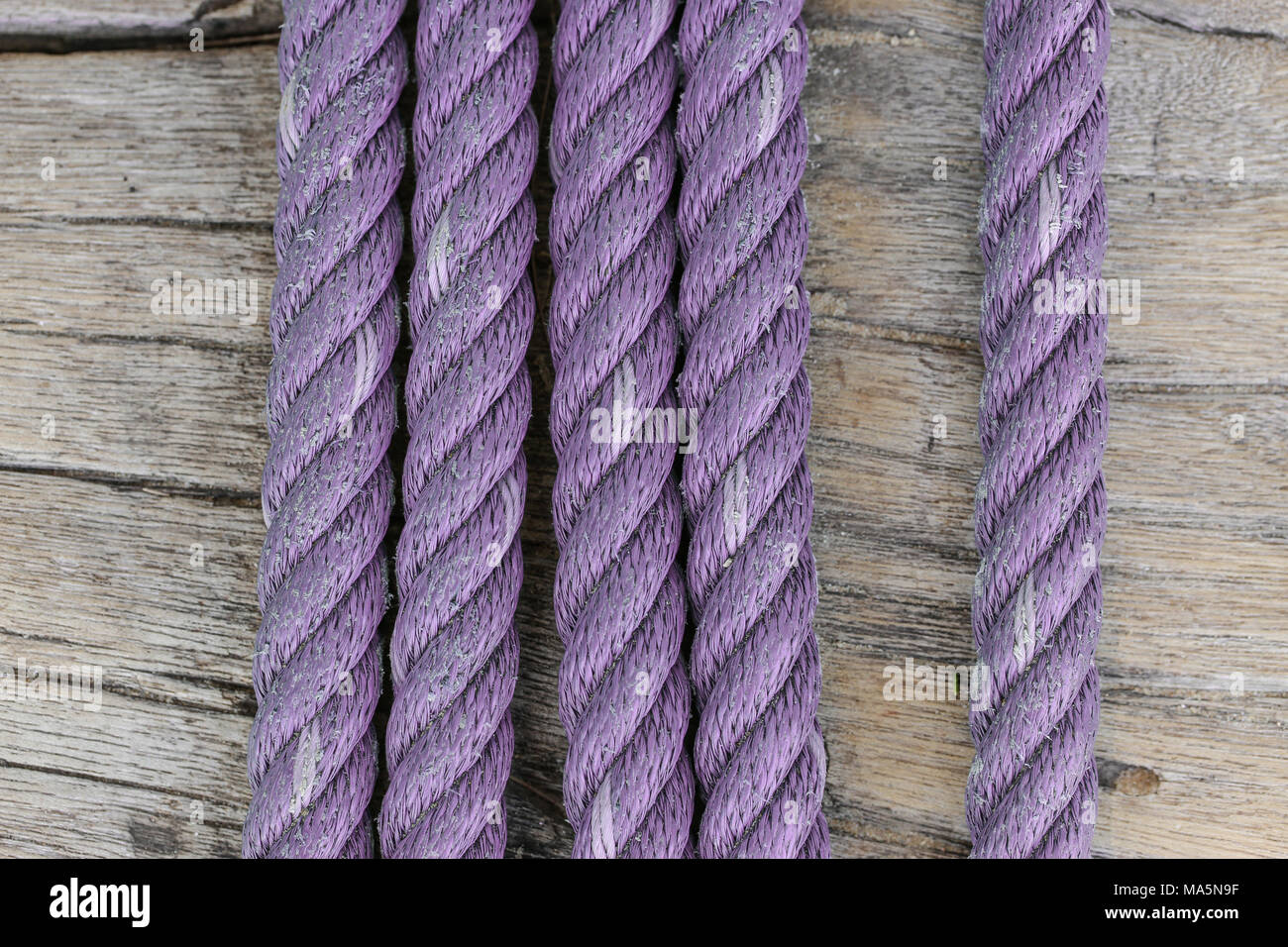 purple nylon twine is old Rope on wood background Stock Photo - Alamy