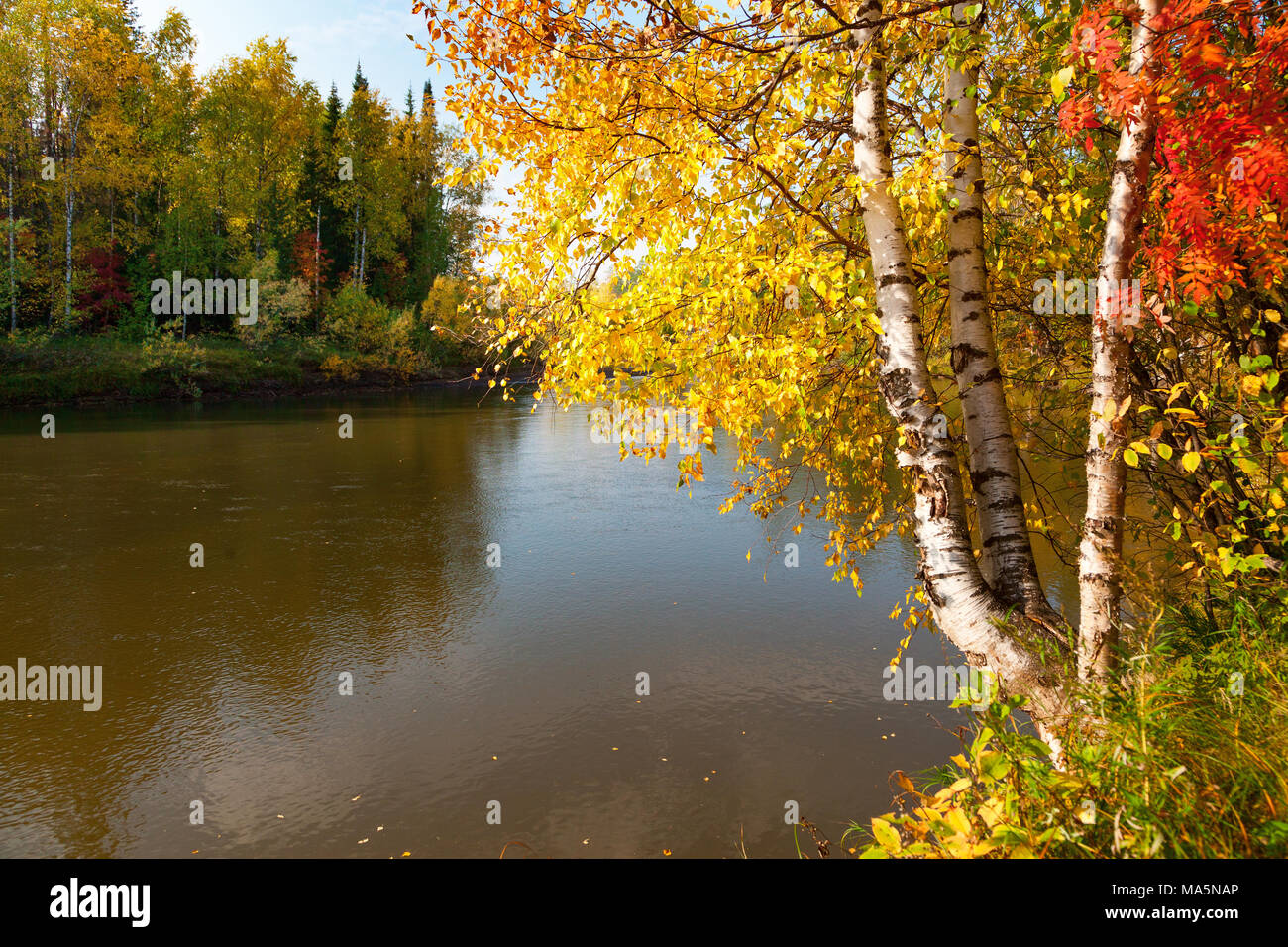 Autumn view stream high hi-res stock photography and images - Alamy