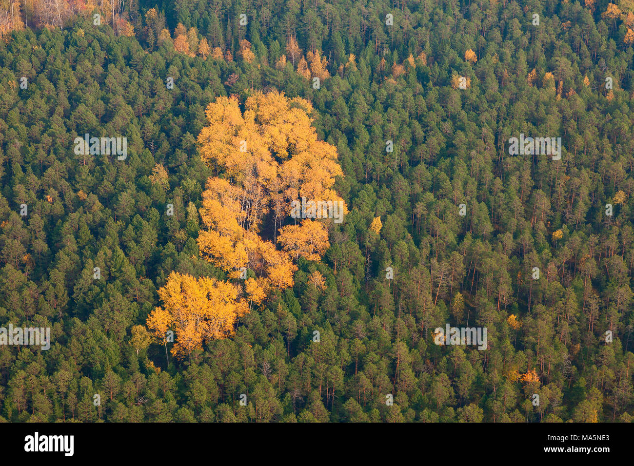 Beautiful autumn landscape aerial hi-res stock photography and images ...