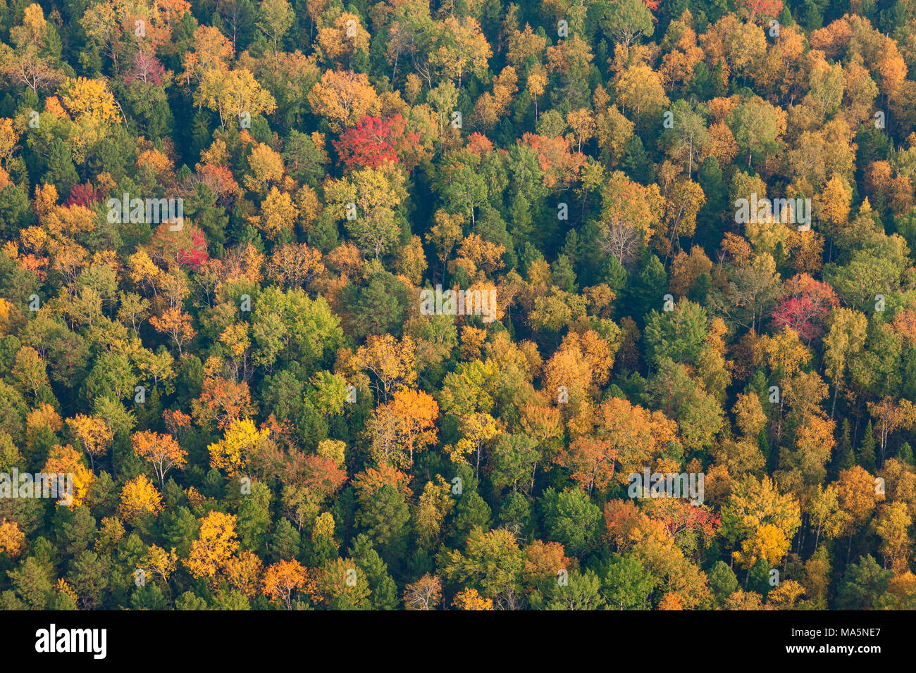 Aerial view forest beautiful hi-res stock photography and images - Alamy