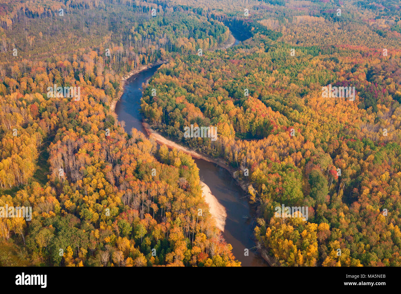 Top view perspective of autumn forest and river Stock Photo - Alamy