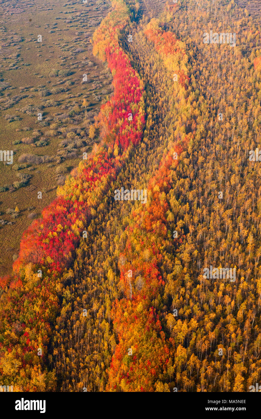 Aerial view forest beautiful hi-res stock photography and images - Alamy