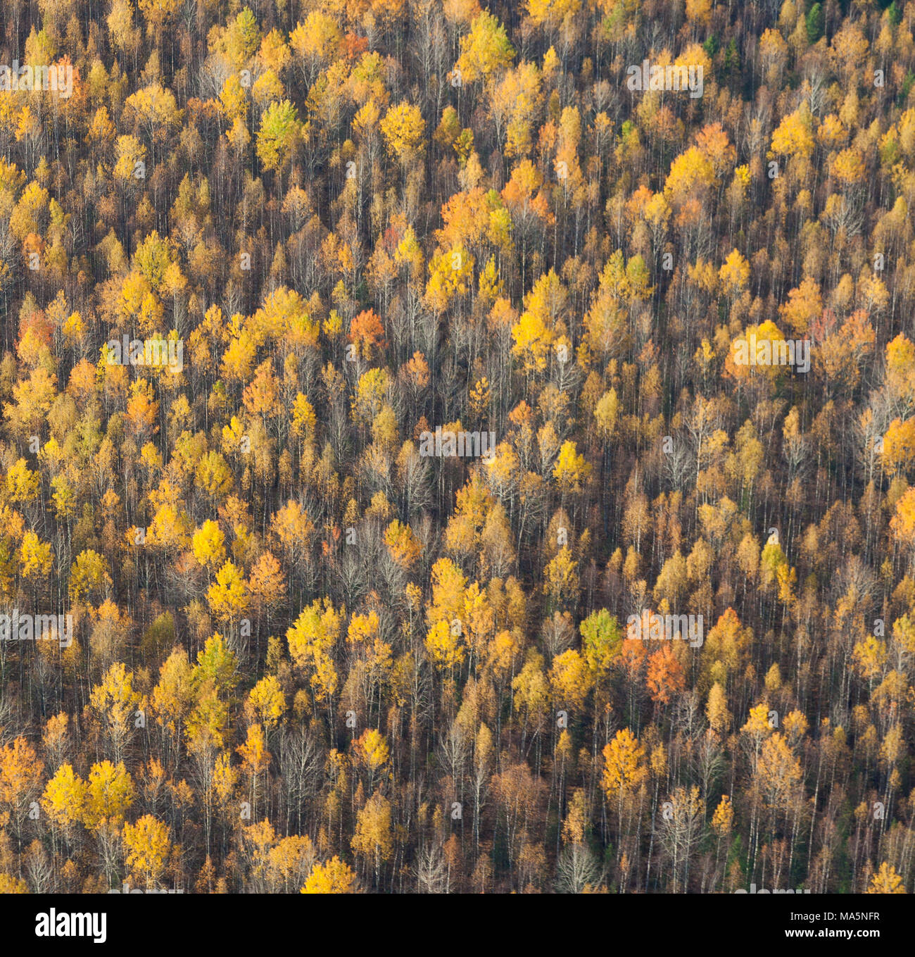 Aerial view forest beautiful hi-res stock photography and images - Alamy
