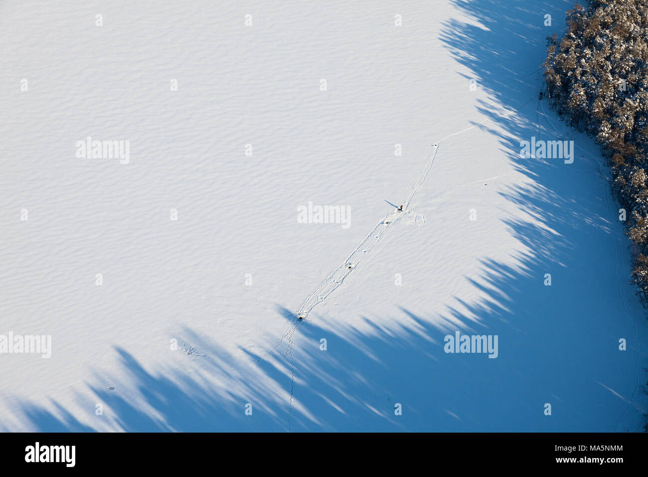 Aerial ice lake top view hi-res stock photography and images - Alamy