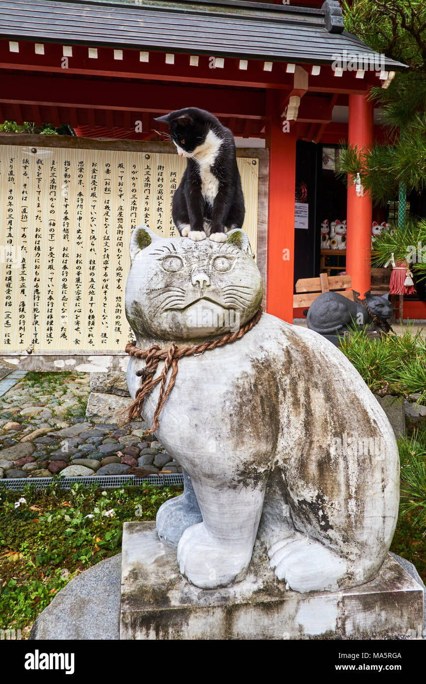 Japon, Tokyo, temple sanctuaire dédié aux chats // Japan, Tokyo, cat ...