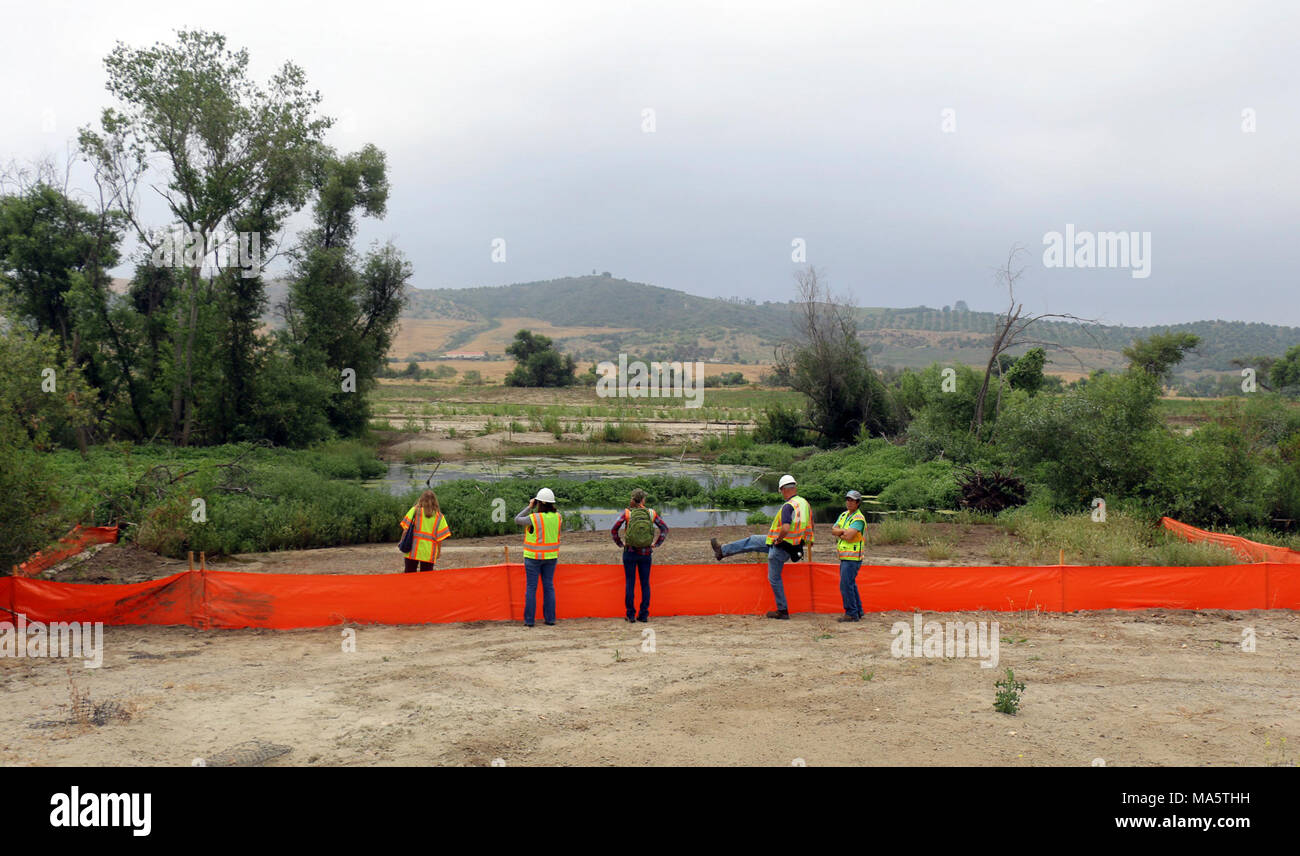 Toad fence hi-res stock photography and images - Alamy