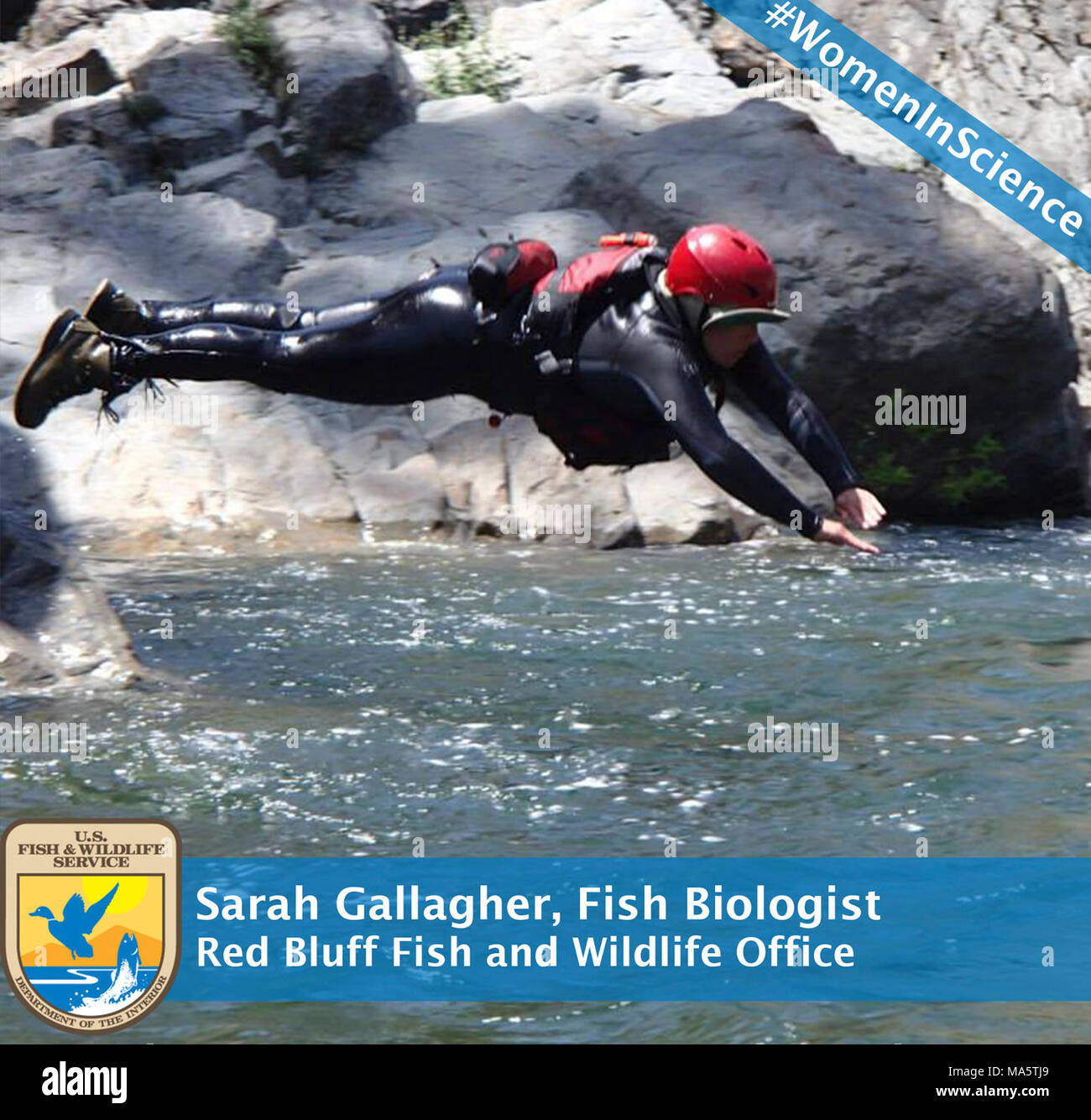 Sarah Gallagher. Sarah Gallagher, Fish Biologist Stock Photo - Alamy