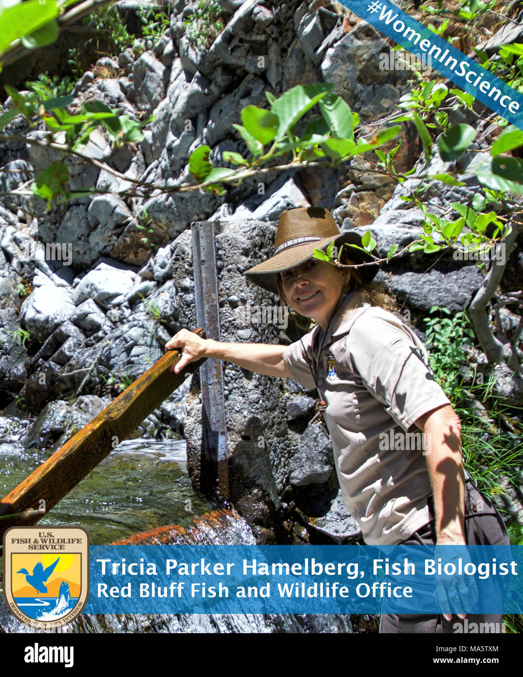 Tricia Parker Hamelberg. Tricia Parker Hamelberg, Fish Biologist Stock ...