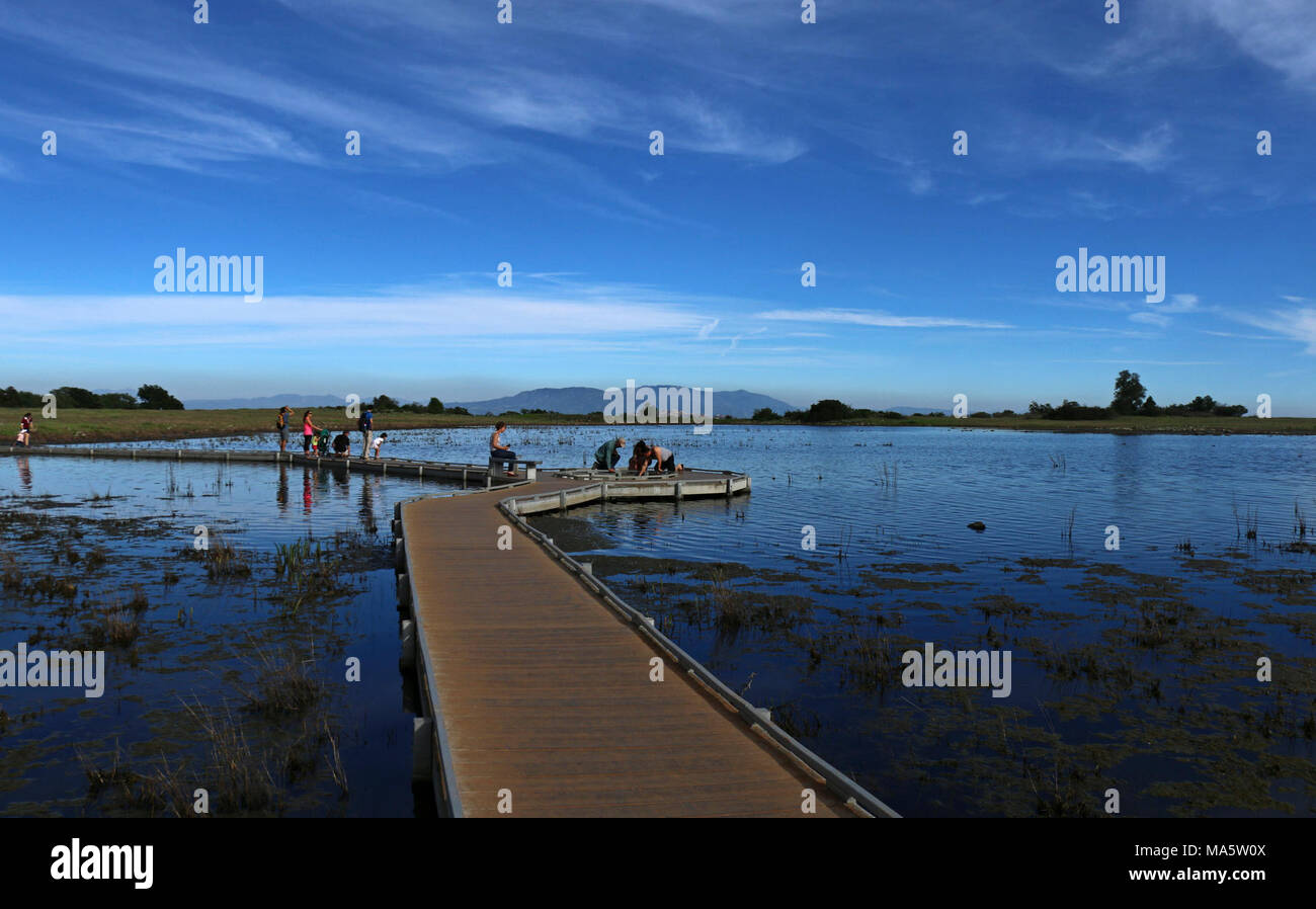 Vernal Pool at Santa Rosa Plateau Stock Photo - Alamy
