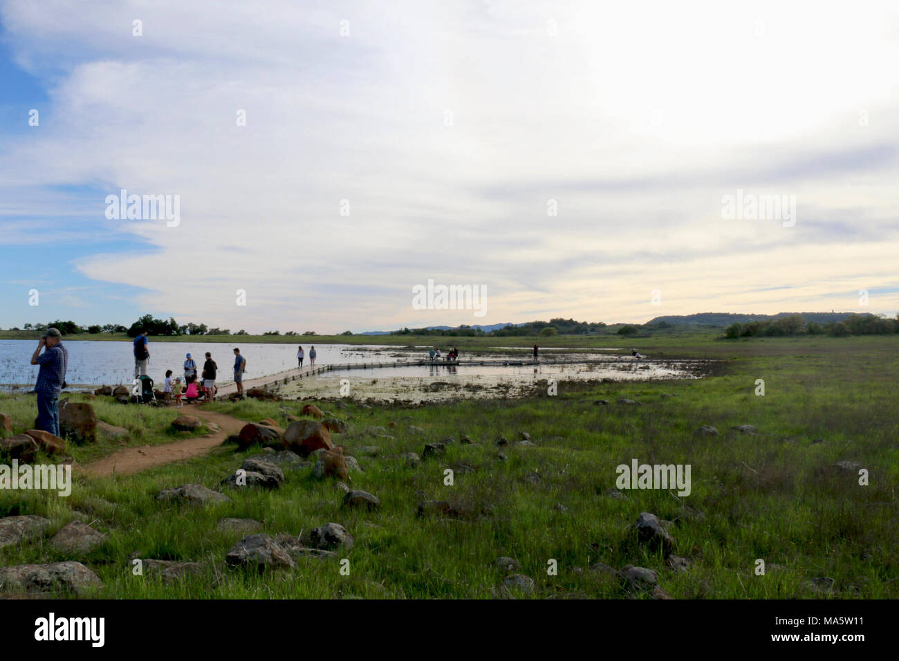 Vernal pools california hi-res stock photography and images - Alamy