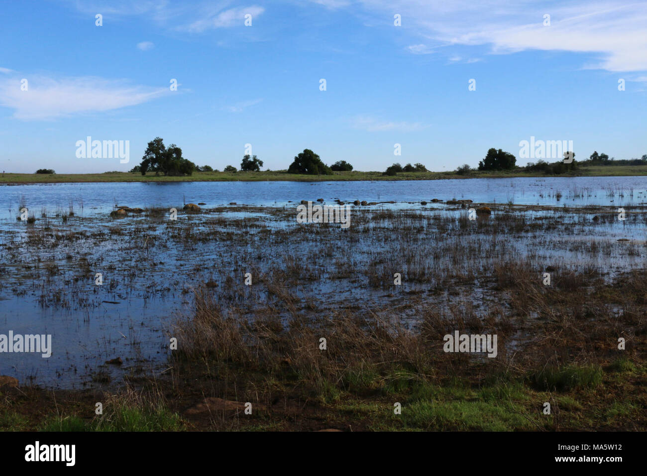 Vernal Pool at Santa Rosa Plateau Stock Photo - Alamy