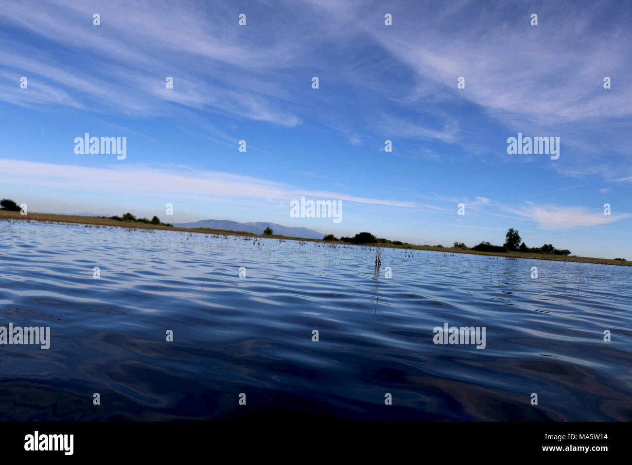 Vernal pools california hi-res stock photography and images - Alamy