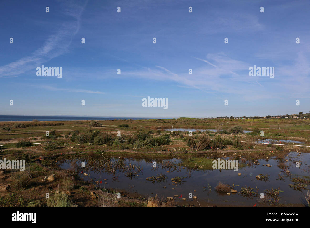Vernal pool restoration on Camp Pendleton Stock Photo - Alamy