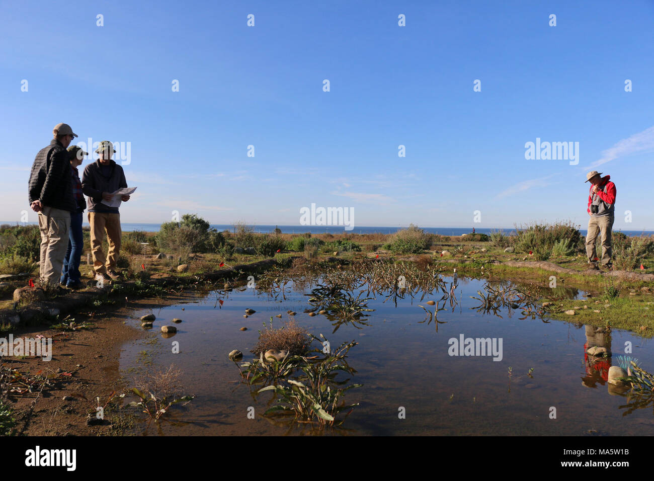 Vernal pool restoration on Camp Pendleton Stock Photo - Alamy