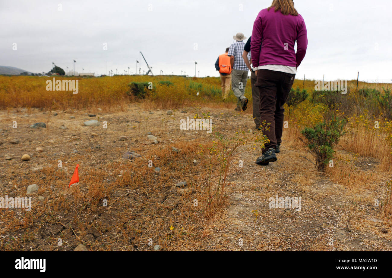 Vernal pool restoration site at Camp Pendleton. This pool was full on ...