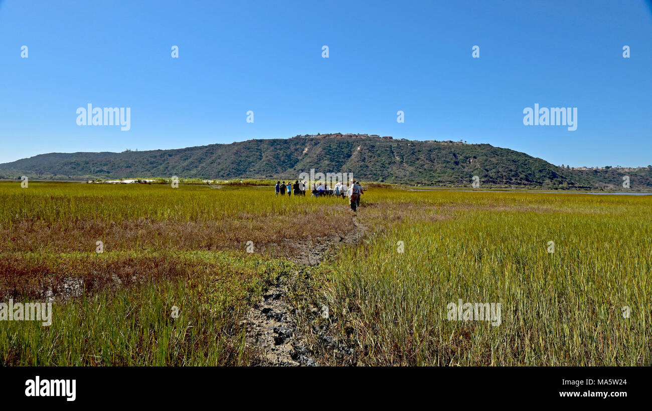 Light footed ridgways rail hi-res stock photography and images - Alamy