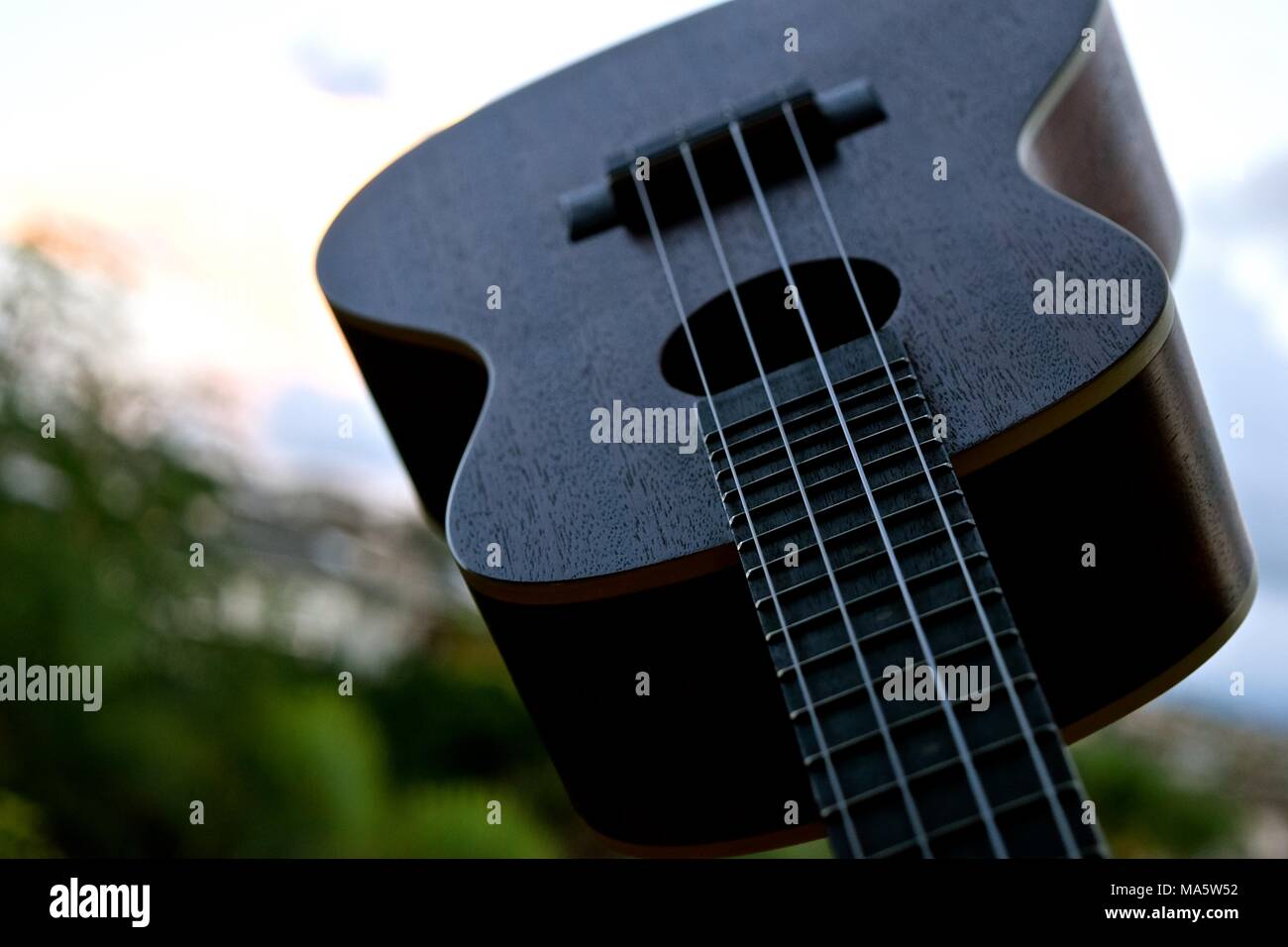 Like strings of a guitar hi-res stock photography and images - Alamy