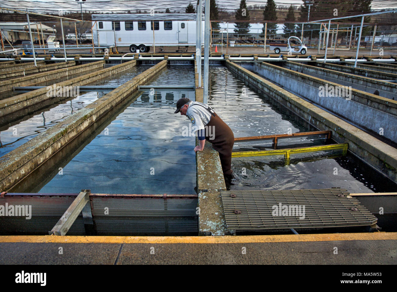 Livingston stone national fish hatchery hi-res stock photography and ...