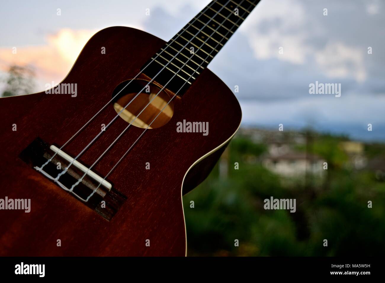 Body adaptation hi-res stock photography and images - Alamy