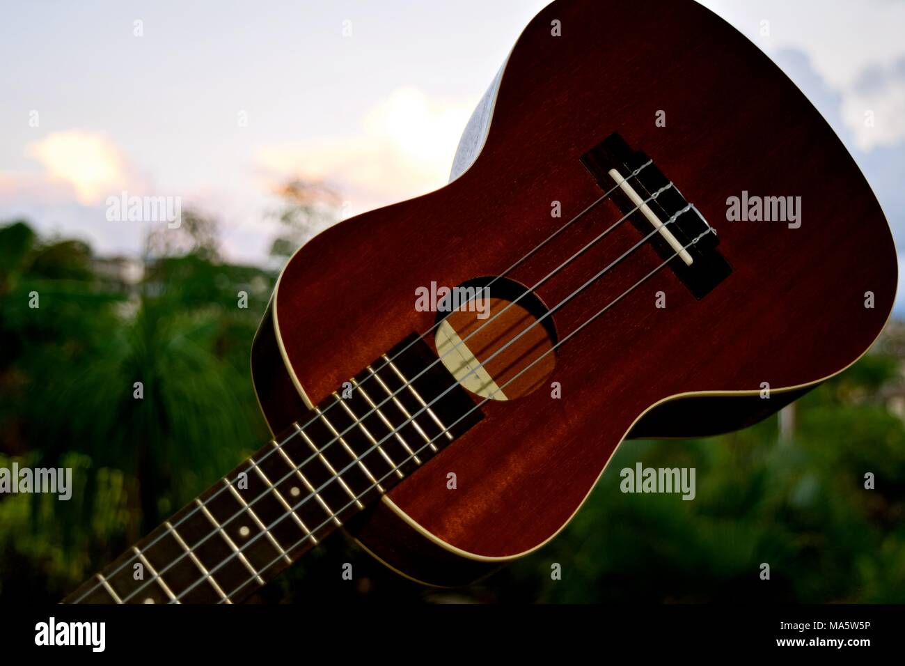 Like strings of a guitar hi-res stock photography and images - Alamy