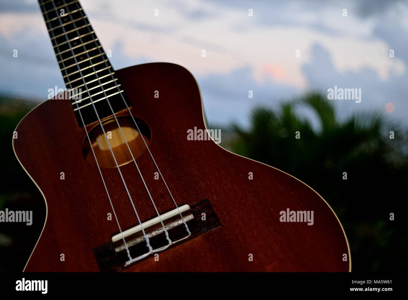 Hawaiian Ukelele adaptation from the Portugese machete, a small guitar ...