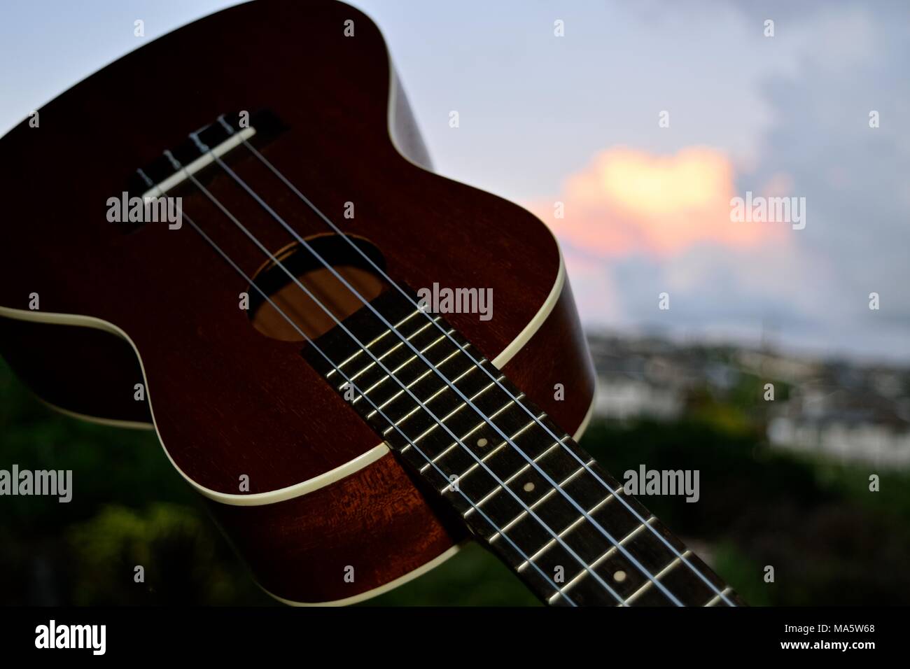 Hawaiian Ukelele adaptation from the Portugese machete, a small guitar ...