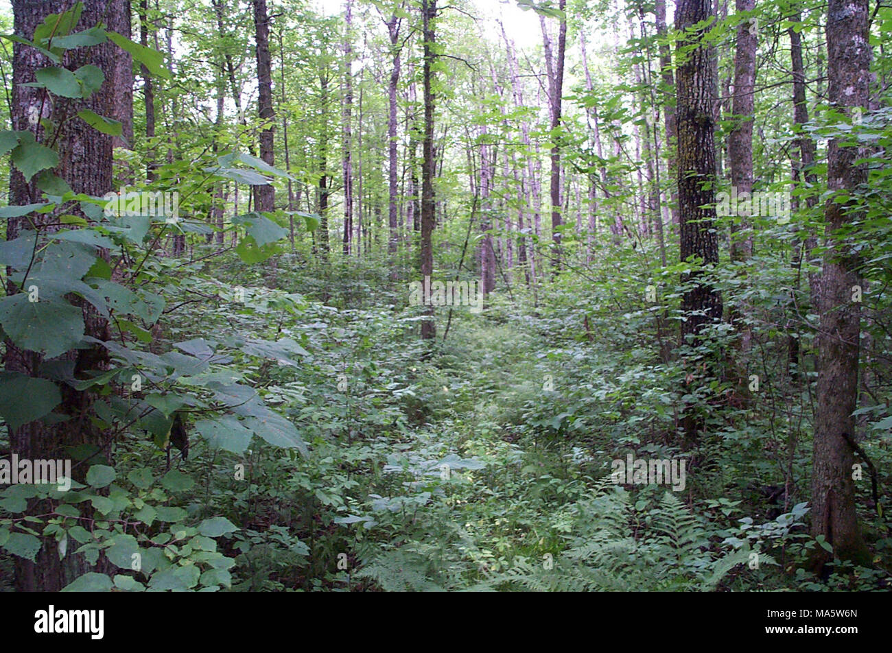 Rice Lake National Wildlife Refuge. There are more than 7,000 acres of ...