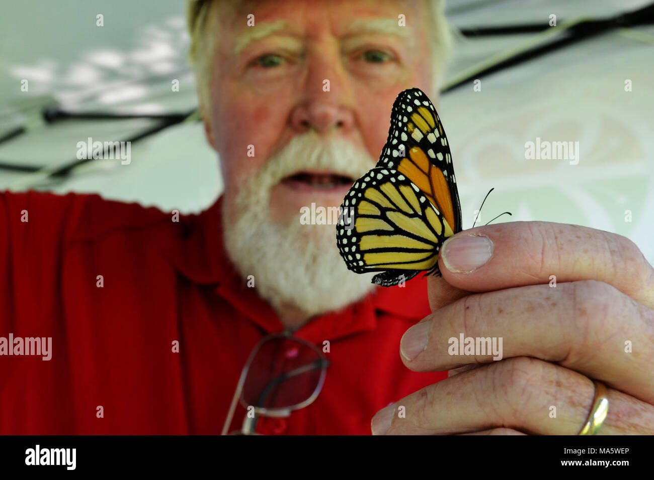 Kansas city monarchs hi-res stock photography and images - Alamy