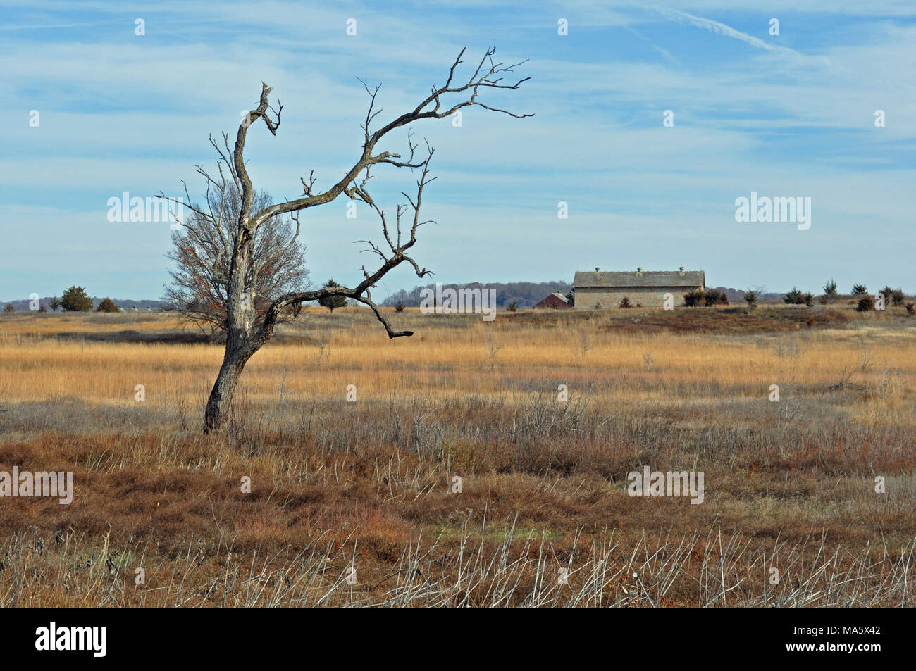 Sand Prairie. Sand prairie habitat of the Driftless Area Stock Photo ...
