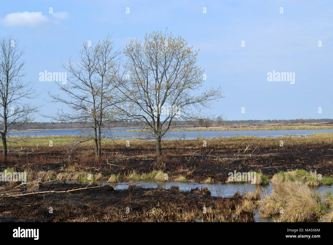 Necedah wildlife refuge hi-res stock photography and images - Alamy