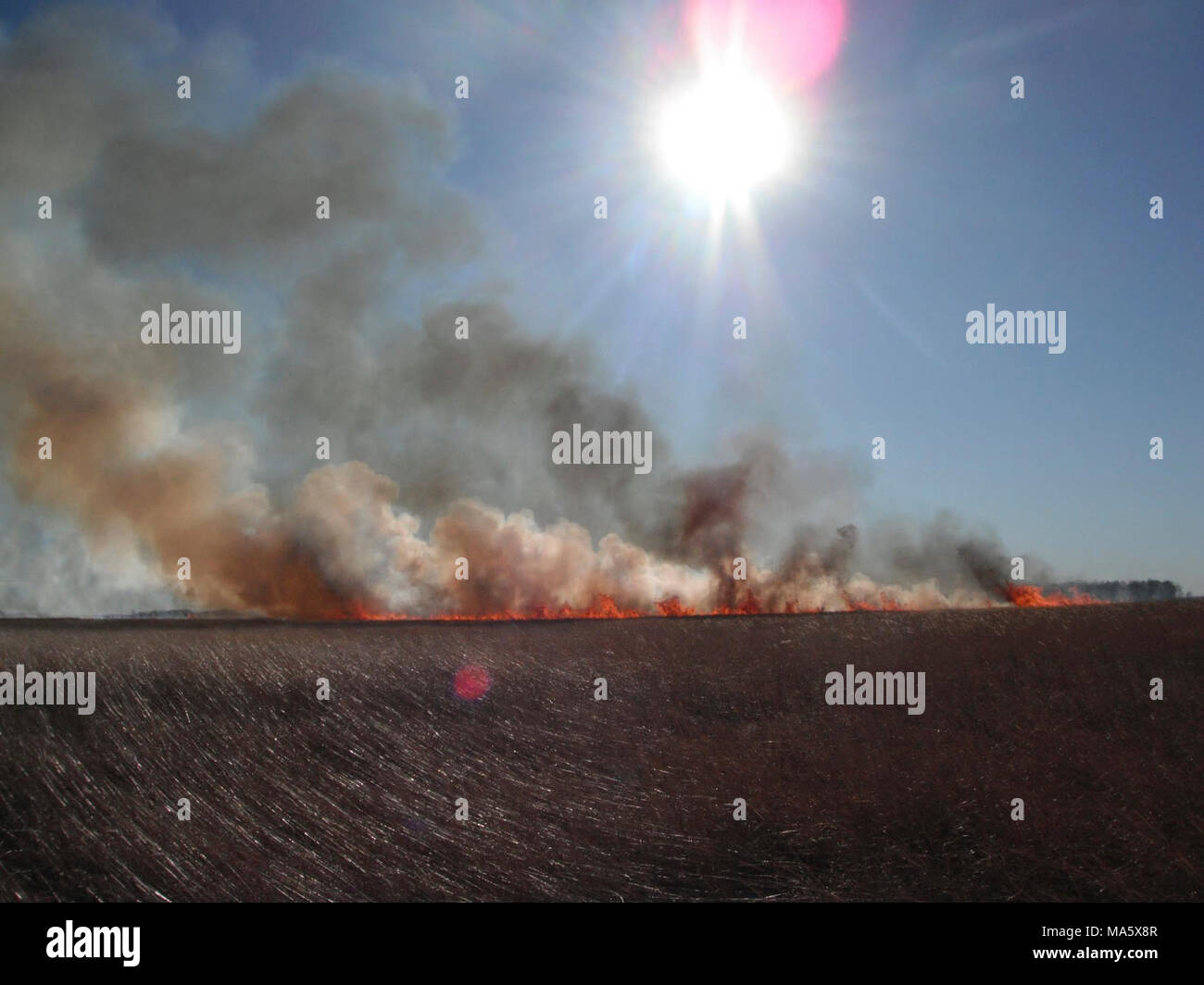 Rx burn hi-res stock photography and images - Alamy