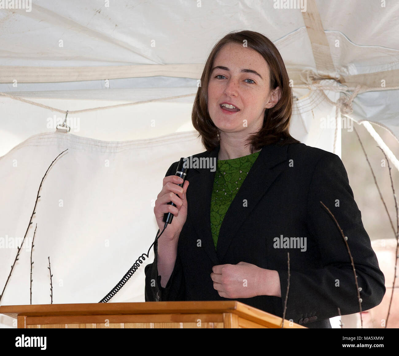 Thomas herb hi-res stock photography and images - Alamy