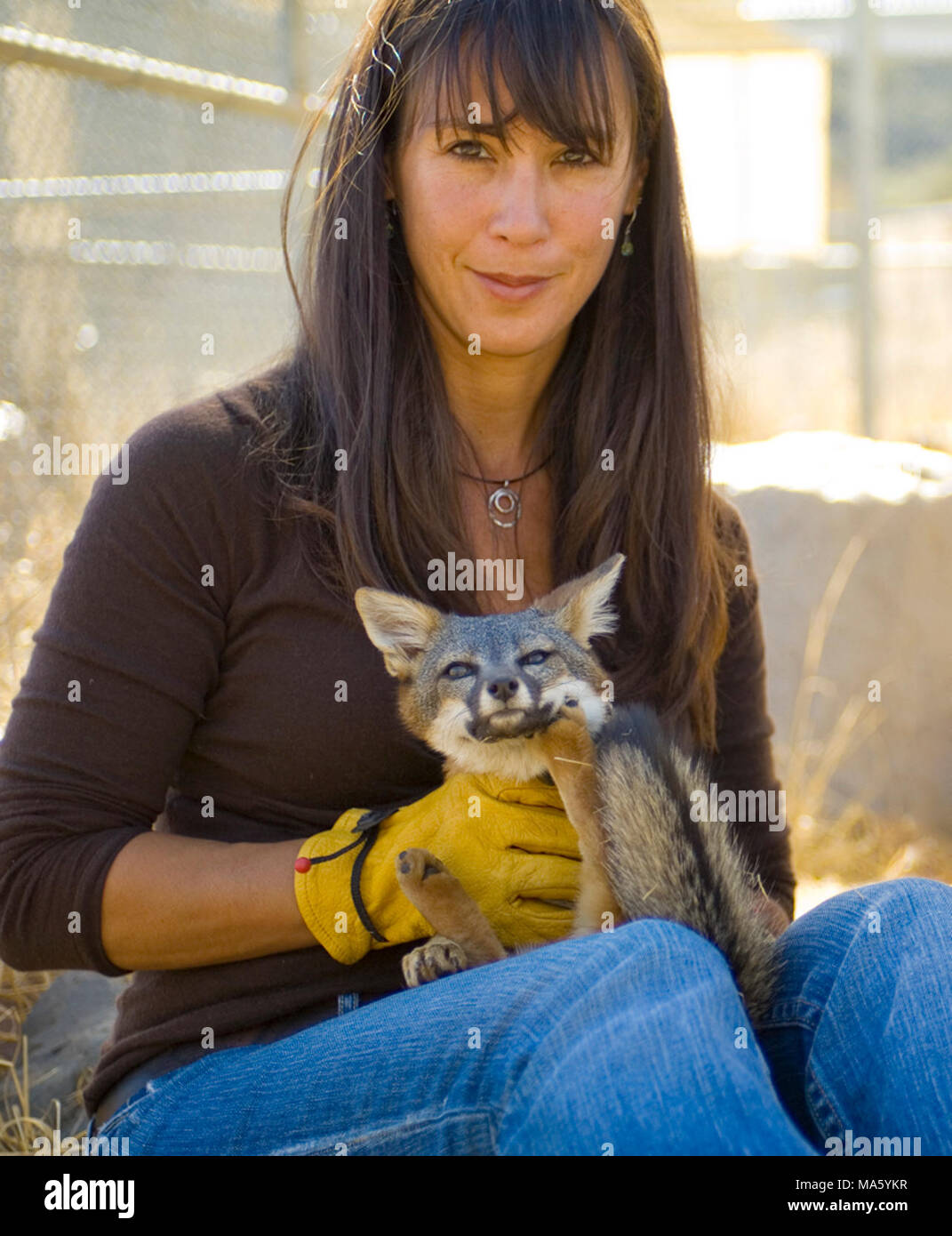 Santa Cruz Island Fox Release. Lotus Vermeer, TNC holding fox during ...