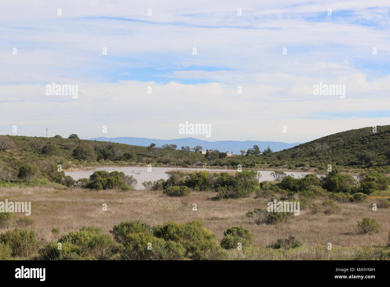 Wetland. Wetland on the former Fort Ord. Fort Ord is home to a diverse ...