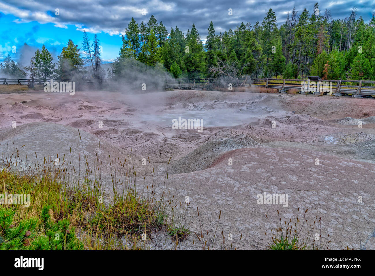 Clearing in trees hi-res stock photography and images - Alamy