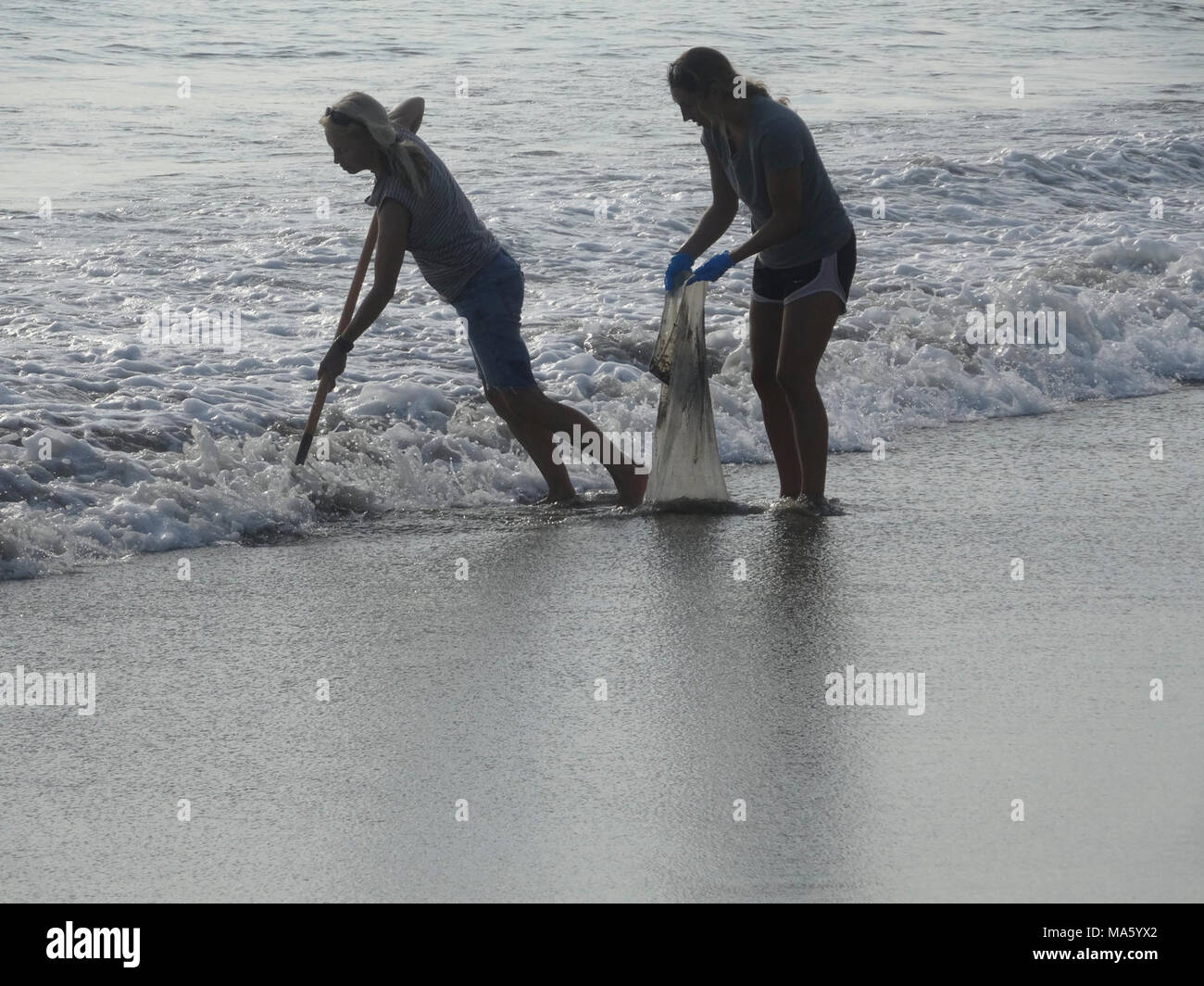 Sandy Beach survey work. Dr. Jenny Dugan and Jessica Madden of UCSB ...