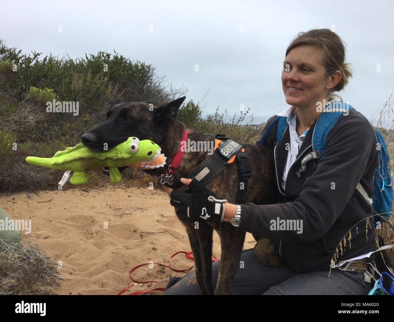 Wildlife detection dog hi-res stock photography and images - Alamy