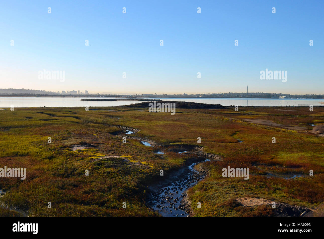 Coastal marshes damage hi-res stock photography and images - Alamy