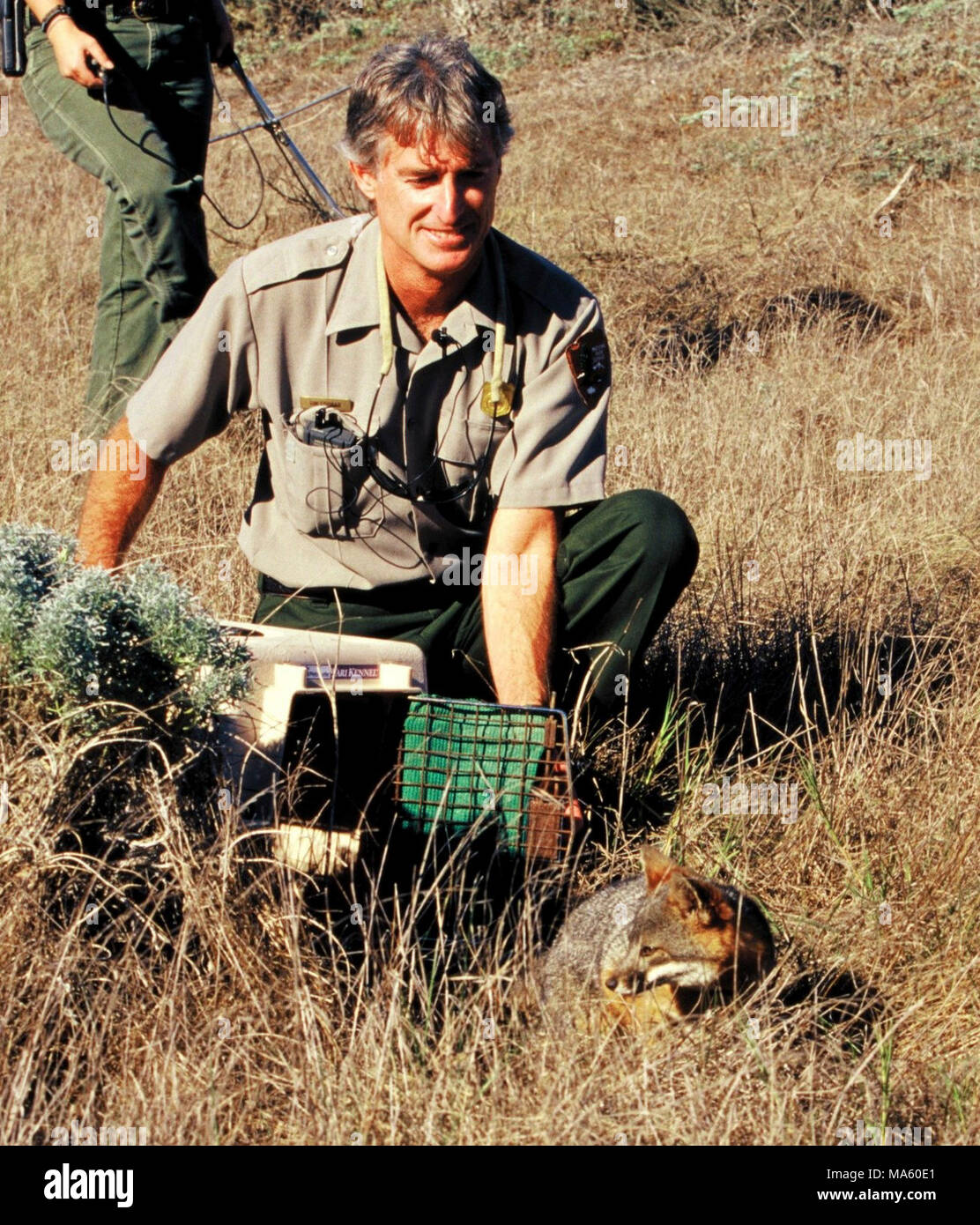 Coonan hi-res stock photography and images - Alamy